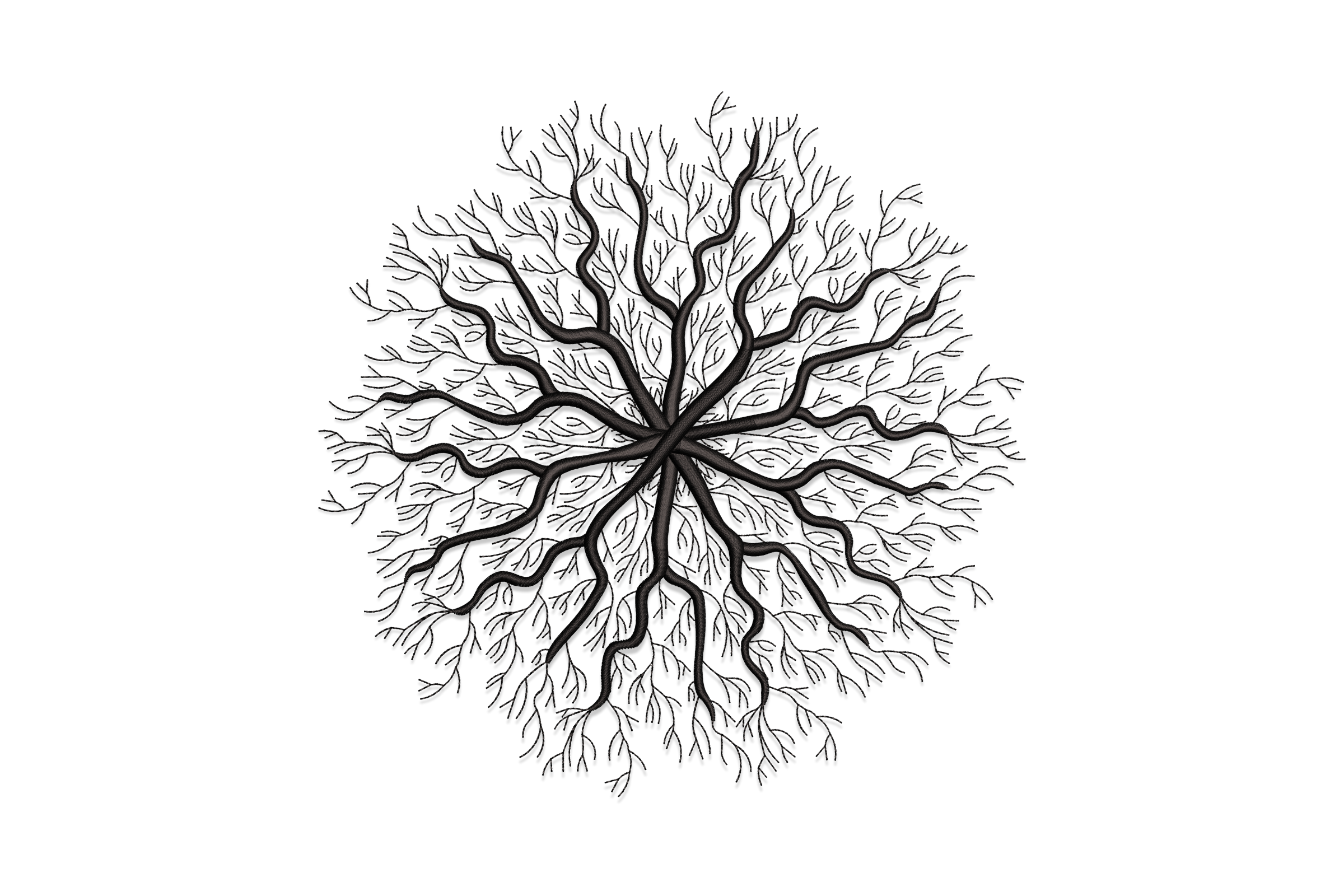 Circular Tree of Life Branches Embroidery Design