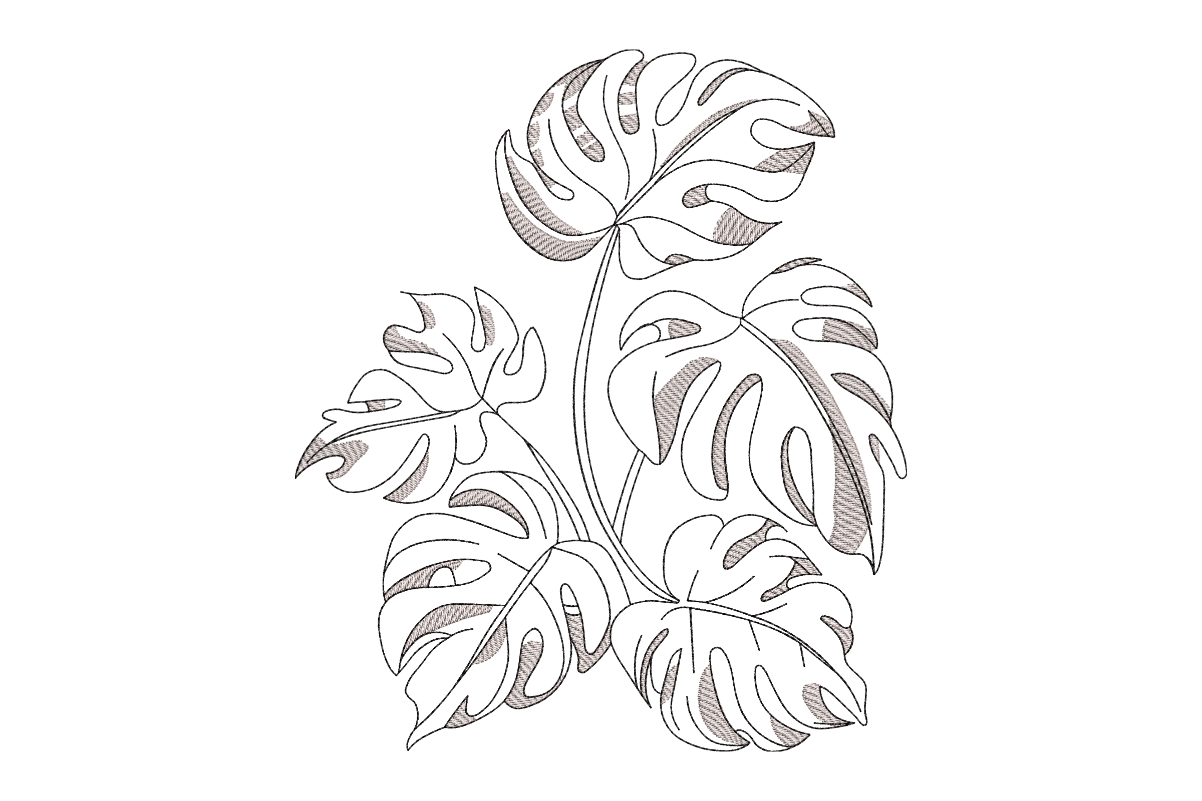 Free Monstera Leaf Outline Embroidery Design