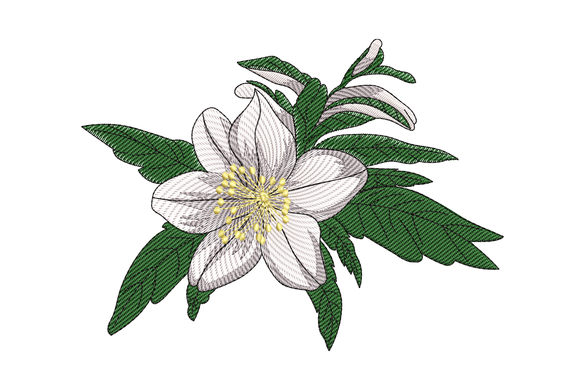 Premium Elegant Floral Machine Embroidery Design